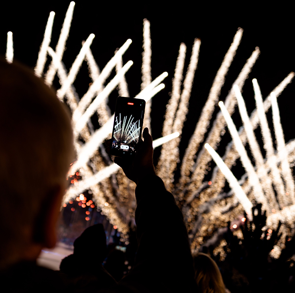 Wialon: an ultimate solution for comprehensive fleet digitalization