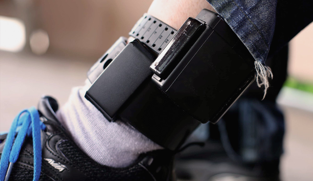 Parole monitoring solution with Wialon